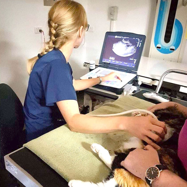 Park Ridge Animal Hospital - Logan West Veterinary Services