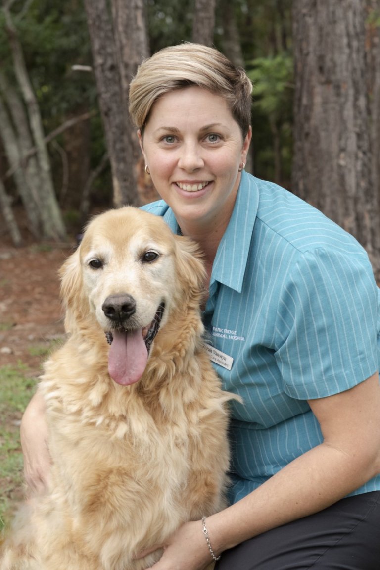 Meet Our Vet Team - Park Ridge Animal Hospital
