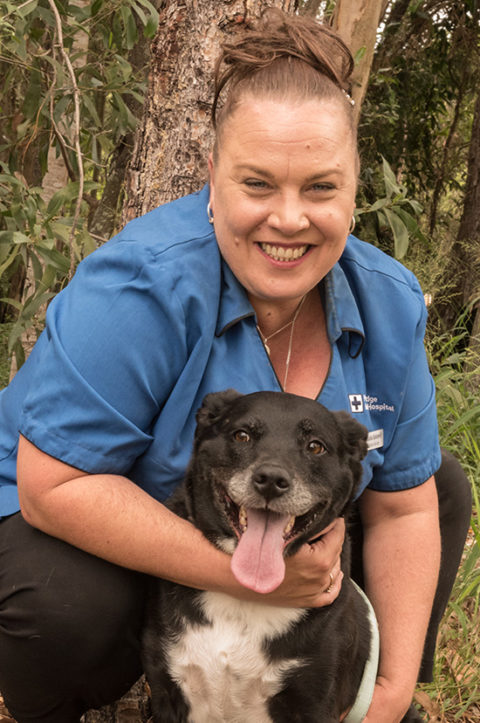 Meet Our Vet Team - Park Ridge Animal Hospital