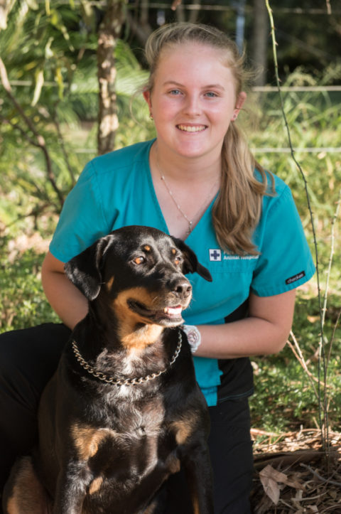 Meet Our Vet Team - Park Ridge Animal Hospital