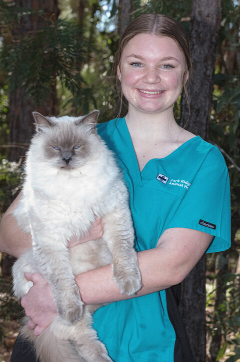 Meet Our Vet Team - Park Ridge Animal Hospital
