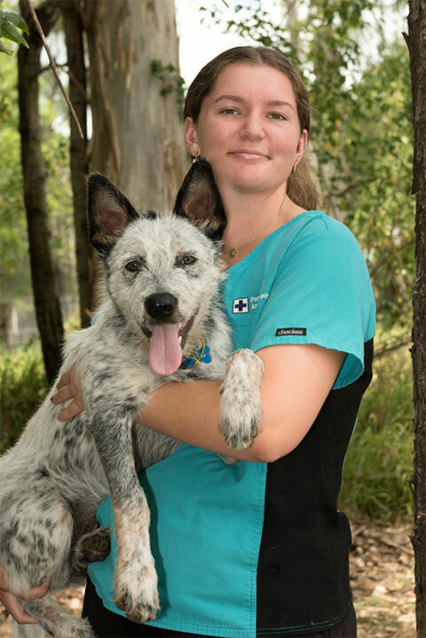 Meet Our Vet Team - Park Ridge Animal Hospital