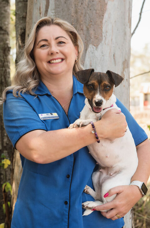 Meet Our Vet Team - Park Ridge Animal Hospital